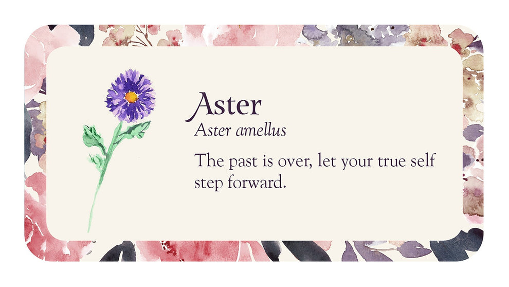 Flower Petals : Blossoming Guidance Cards || Cheralyn Darcey – Stone ...
